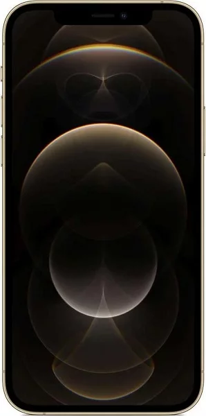 Купить Apple iPhone 12 Pro Max 128GB A2411 gold (золотой) с доставкой в ...